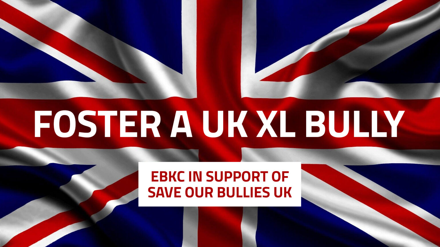 EBKC – European Bully Kennel Club – The Official Pedigree Dog Registry ...